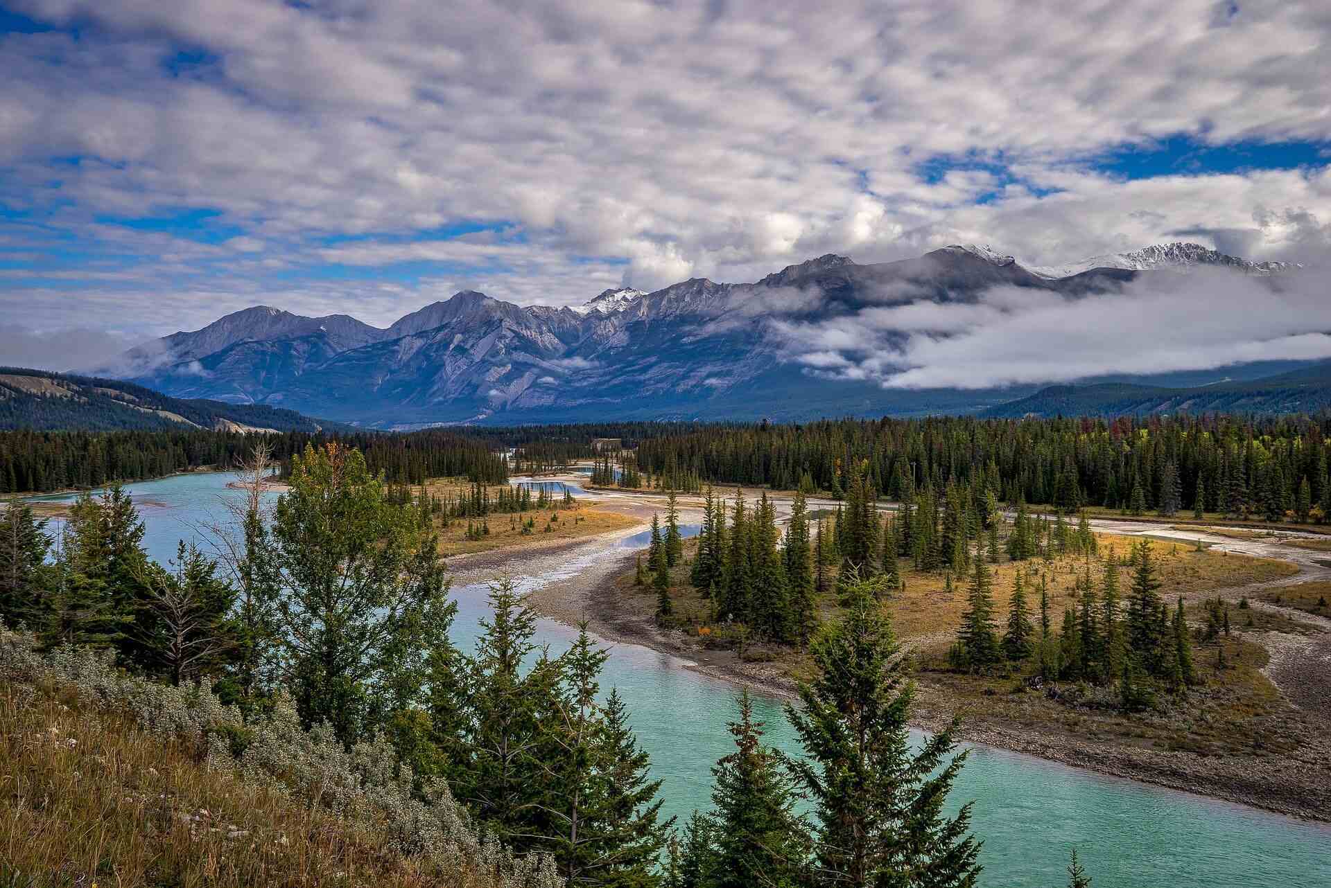 16 Best Private Campgrounds in Alberta - The Wild Guides