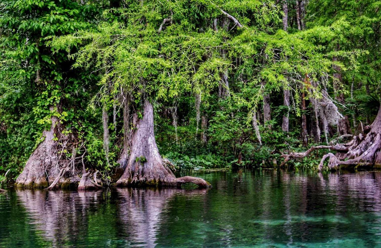 The 8 Best State Parks in Florida For RV Camping