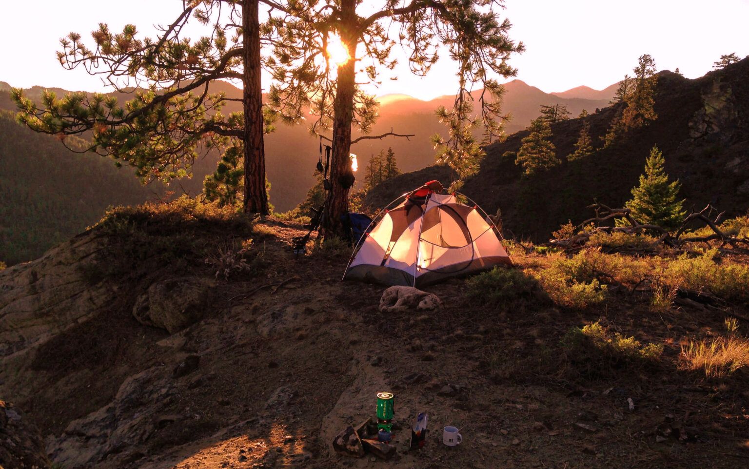 The Wild Guides - Sharing Love For The Great Outdoors