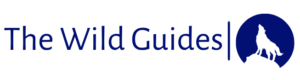 The Wild Guides: Sharing Love For The Great Outdoors