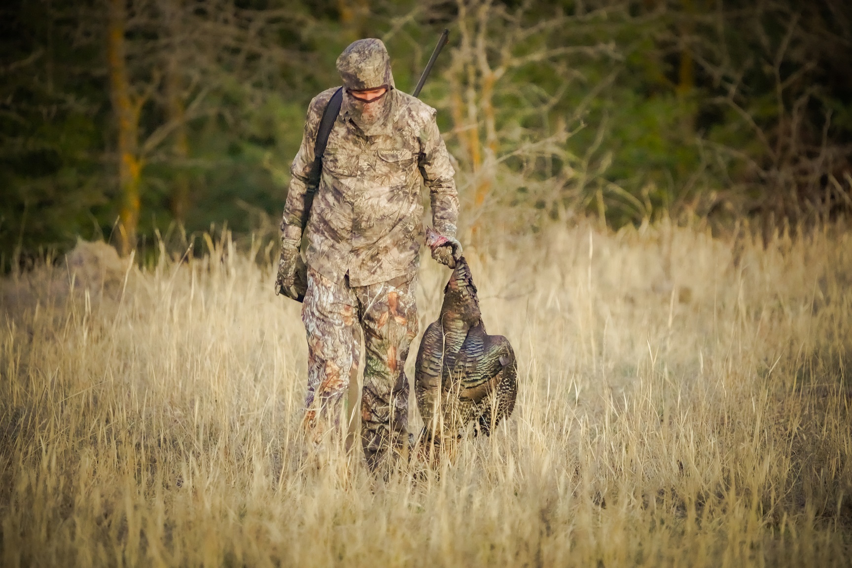 Exploring the Best Midwest Turkey Hunting States - The Wild Guides